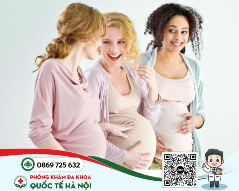 Phôi thai là gì quá trình hình thành và phát triển